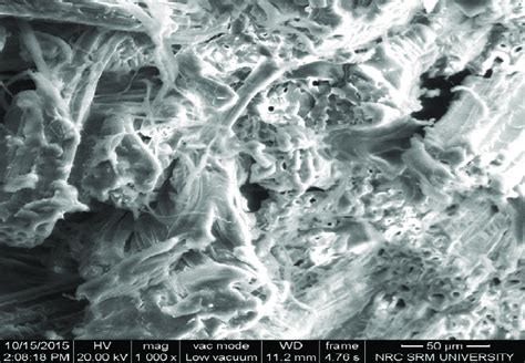 A Sem Micrograph Of Flaxkenafepoxy Hybrid Composite Download