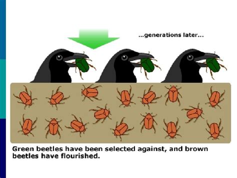 Variation What Is Variation Variation Lab Day 1