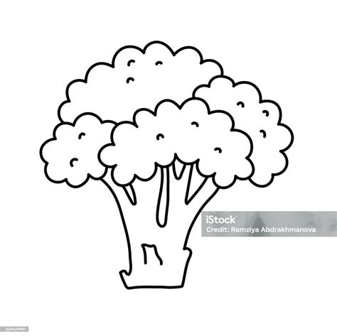 브로콜리 야채 스케치 얇은 간단한 윤곽선 아이콘 검은 색 등고선 벡터입니다 낙서 손으로 그린 일러스트레이션 브로콜리에 대한 스톡 벡터 아트 및 기타 이미지 Istock