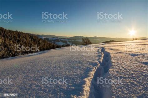 겨울 크리스마스 풍경입니다 빈 필드를 통해 크리스탈 흰색 깊은 눈 우디 어두운 산맥 맑은 푸른 하늘 복사 공간 배경에 수평선에 부드러운 빛에 인간의 발자국 트랙 경로 0명에