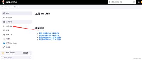 Jenkins 安装 Publish Over Ssh插件无坑版 Csdn博客