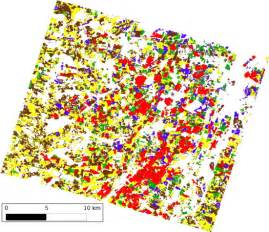 Example Of Crop Map Obtained By Supervised Classification Of Satellite Download Scientific