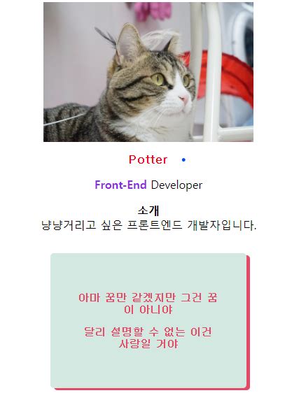 Htmlcss 공부 기본적인 웹페이지 스타일링 3 박스 Box 만들기