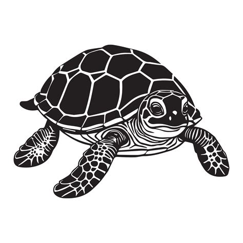Turtle Clipart Vector Illustration Turtle Vector Line Art Silhouette 24209206 Vector Art At Turtle Clipart Vector Illustration Turtle Vector Line Art Silhouette 24209206 Vector Art At