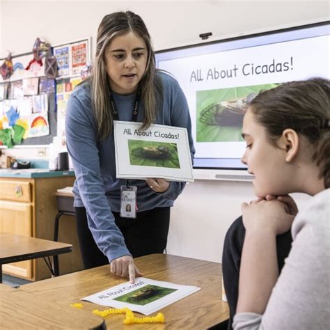 How People With Autism Sensory Sensitivities Are Prepping For Cicadas Chicago Sun Times
