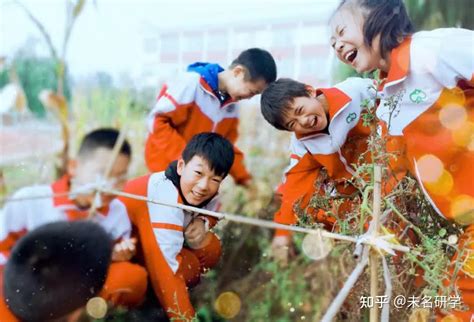 中小学劳动教育系列展示之昌邑市奎聚街道十字路小学 知乎