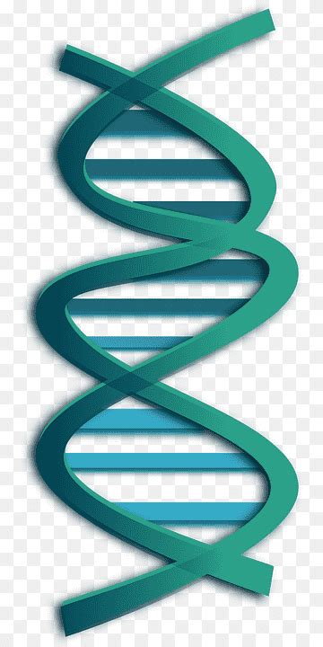 Rna Png Images Pngwing Rna Png Images Pngwing