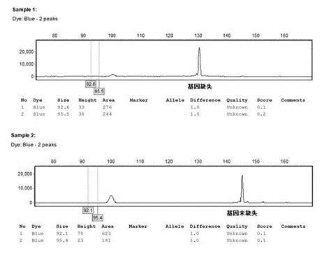 Primer And Method For Detecting Human Egfr Gene Mutation Eureka Patsnap