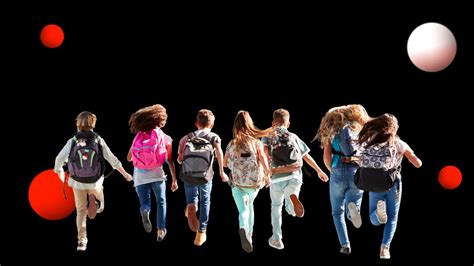 What Is Campus Culture And How School Management Systems Can Help Classter