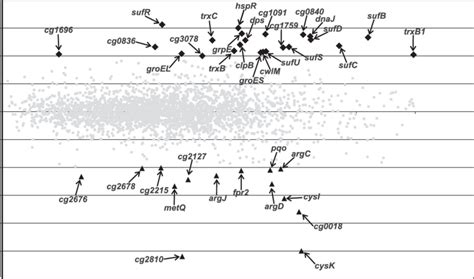 Ratio Versus Intensity Plot Of The Dna Microarray Hybridization Download Scientific Diagram