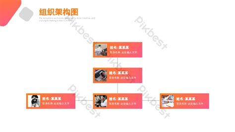 Business Company Structure Organization Chart PPT Template PowerPoint PPTX Template Free