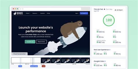 lighthouse performance testing request metrics 🦥