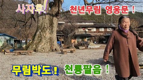 진안고원 영웅문 전주 Kbs 방송 촬영 우리집금송아지 천하무공 Youtube