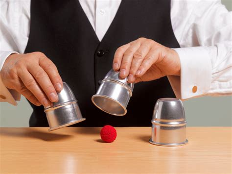 Feds Playing Shell Game With Wind Impact On Whales The Heartland Institute