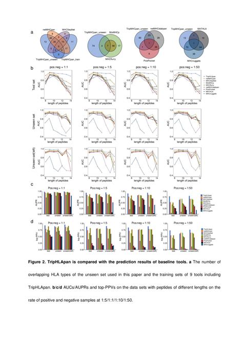 Triphlapan Predicting Hla Molecules Binding Peptides Based On Triple Coding Matrix And Transfer