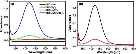 A Uvvisible Absorption Spectra Of Opd Alone Opd H2o2 Opd