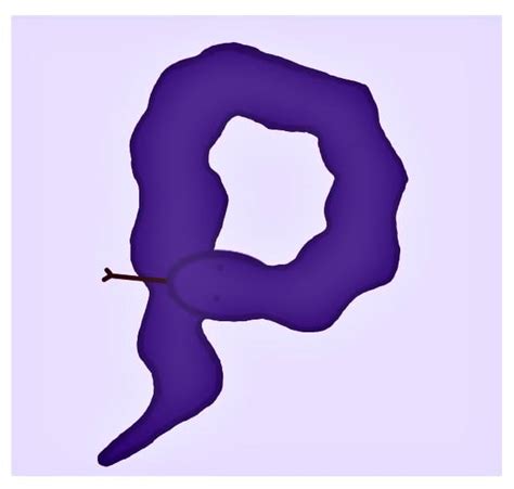 Learnpy By K4r705h3chk4