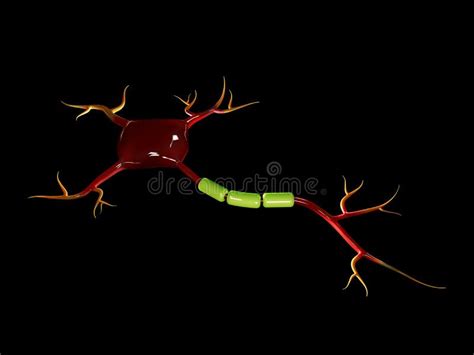 3d Illustration Of Neuron Cells High Resolution 3d Illustration Isolated Black Stock