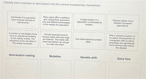 solved classify each example or description into the correct