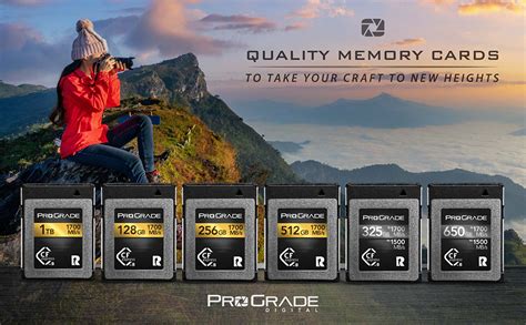 Amazon Com ProGrade Digital 256GB CFexpress Type B Memory Card Gold Electronics