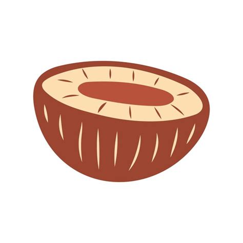 Premium Vector Half Slice Of Coconut Exotic Fruit Vector Illustration