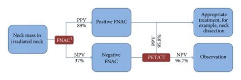 Proposed Algorithm For Investigation Of Neck Mass In Irradiated Neck Download Scientific