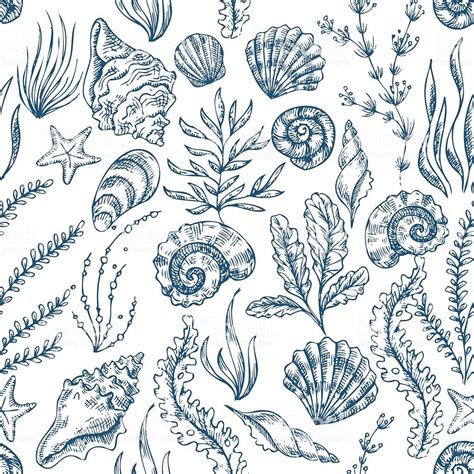 Eps 8 Seashell Illustration Vector Illustration Seashells Vector