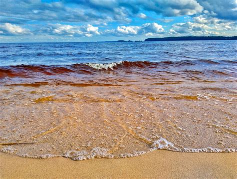 11 фильмов по книгам Николаса Спаркса | Книжный армариум | Дзен