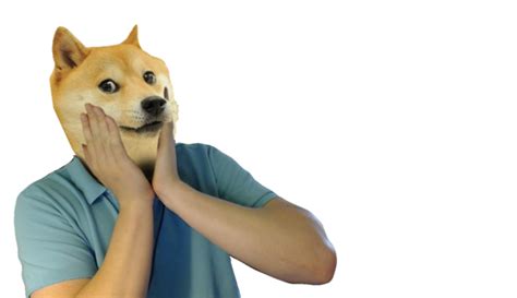 Doggo Png Image Hd Png All