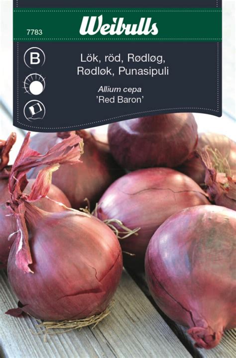 Sipuli Weibulls Punasipuli Red Baron Siemenet