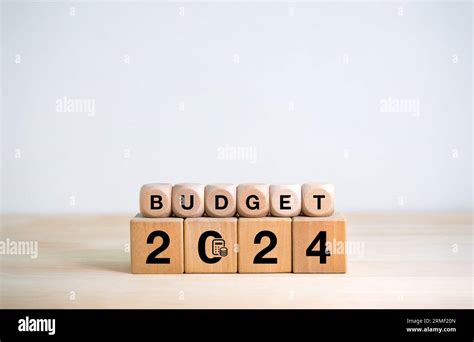 Year 2024 Budget Plan Concept Allocation Text Budget 2024 With