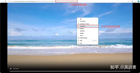 Edge浏览器主页背景图片 视频获取 知乎