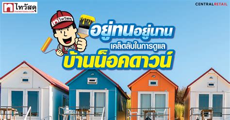 อยู่ทนอยู่นาน เคล็ดลับในการดูแลบ้านน็อคดาวน์ Thai Watsadu