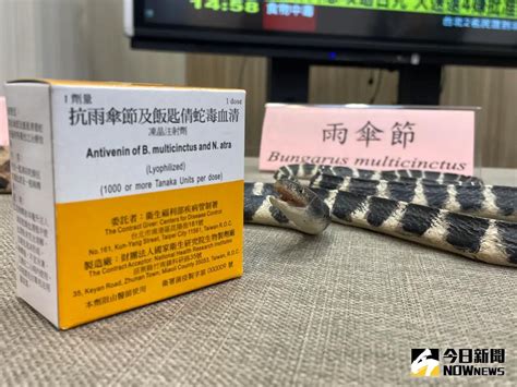 清明掃墓小心「引蛇上身」！遭蛇咬別做「5大ng行為」 生活焦點 要聞 Nownews今日新聞