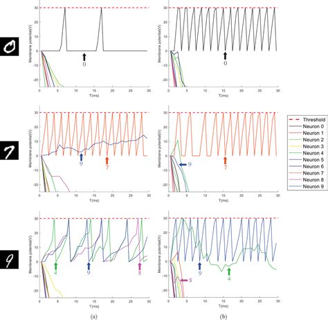Figure 7 From Bio Inspired Model Based On Global Local Hybrid Learning In Spiking Neural Network