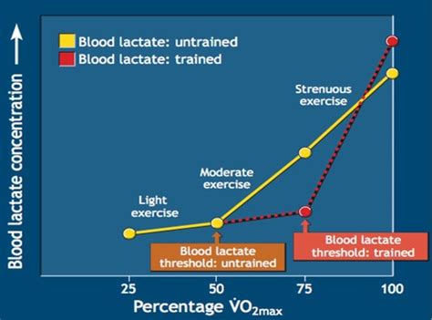 Ex Phys Block 2 Flashcards Quizlet