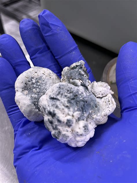 Jesse “militant Lorax” Noller Jessenoller Twitter