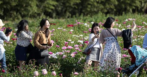 울산시 관광업무 8개 사업 수탁기관 공개모집