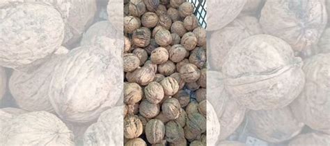 Грецкий орех в скорлупе купить в Ставрополе Товары для дома и дачи Авито