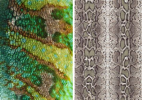 Responsive Facade Iaac Blog