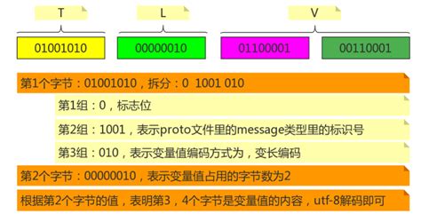 Protobuf 介绍与实战52：在proto文件中，数据类型为stringbytesembedded Messagespacked Repeated Fields时，变量值采用何种方式