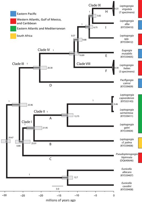 fossil‐calibrated phylogenetic reconstruction using bayesian methods