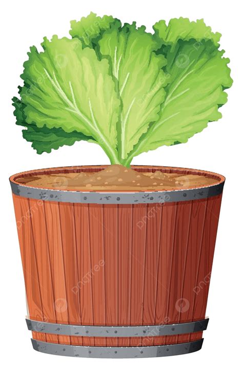 Pot Plant With Green Leaves On An Isolated White Background Vector Decorative Leaves White