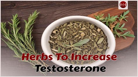 The Best Natural Herbs To Increase Testosterone Levels Effectively