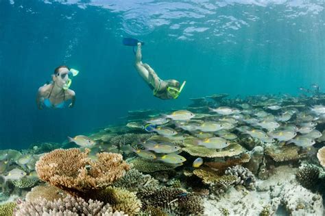 Best Places For Snorkeling In Maldives