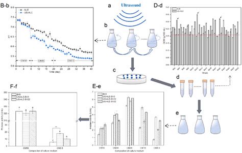 Flow Chart Of Ultrasound Assisted Adaptive Laboratory Evolution