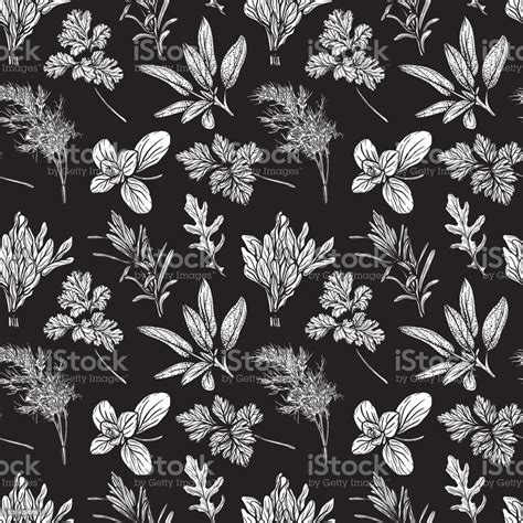 조미료와 허브 패턴 향기로운 향신료 건강한 허브 바질 오레가노 파슬리 딜핸드 그린 벡터 일러스트레이션 0명에 대한 스톡 벡터 아트 및 기타 이미지 Istock