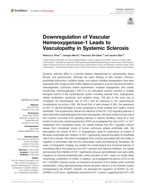 PDF Downregulation Of Vascular Hemeoxygenase 1 Leads To Vasculopathy