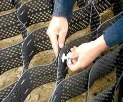 Geoweb Geocell Tree Root Protection System Greenfix Soil Stabilisation Erosion Control