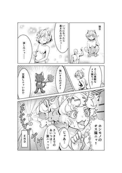 Neko Shrinker Nhentai Hentai Doujinshi And Manga